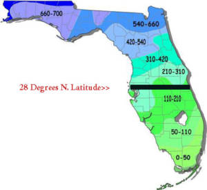 Sustainable Olive Production in Florida